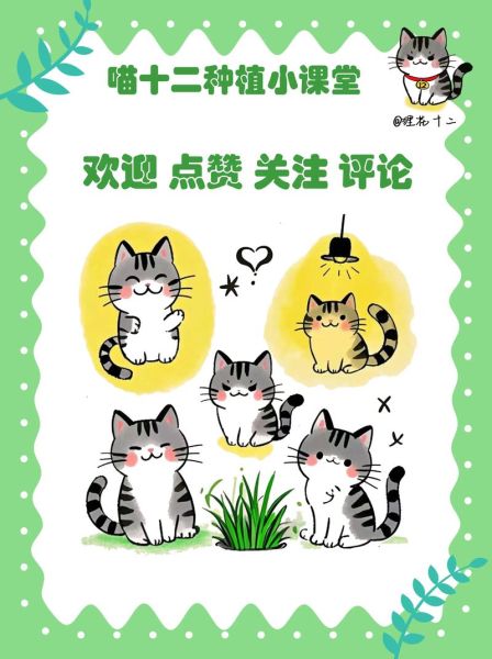 花椰菜的英文怎么读_cauliflower发音技巧-第2张图片-山城妙识