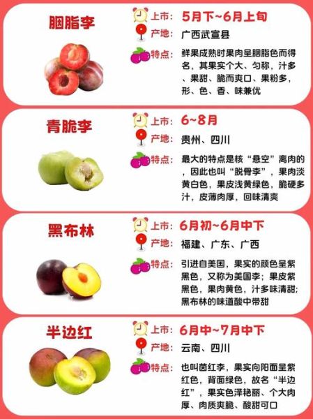 水果名称大全500种有哪些_如何快速记住-第3张图片-山城妙识
