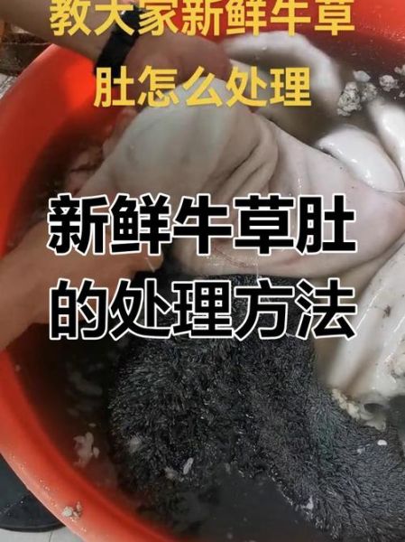 牛肚子怎么清洗才能洗干净_牛肚去腥除味步骤-第2张图片-山城妙识