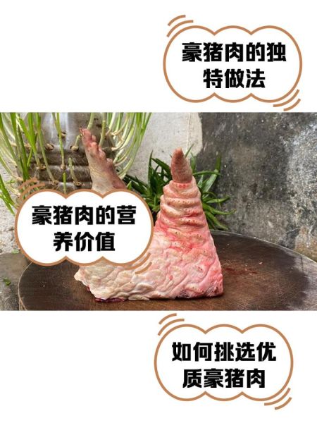 豪猪肉怎么做好吃_豪猪肉炖什么最香-第1张图片-山城妙识