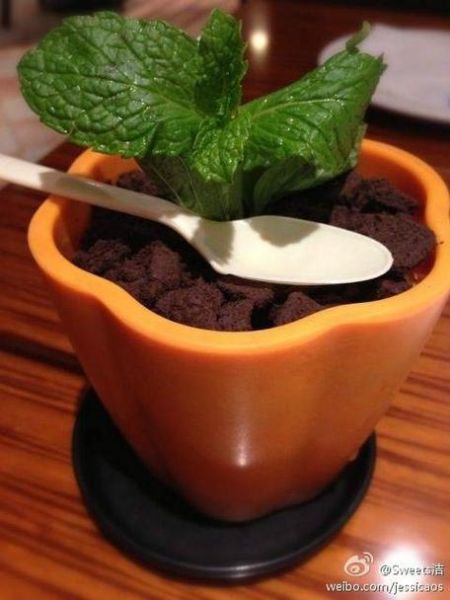 盆栽冰淇淋怎么做_盆栽冰淇淋需要哪些材料-第2张图片-山城妙识 盆栽冰淇淋怎么做_盆栽冰淇淋需要哪些材料-第2张图片-山城妙识