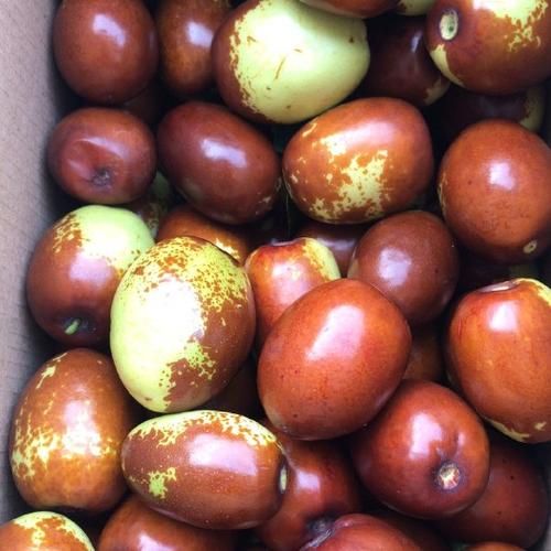 新鲜红枣图片大全大图_如何挑选优质红枣-第2张图片-山城妙识 新鲜红枣图片大全大图_如何挑选优质红枣-第2张图片-山城妙识