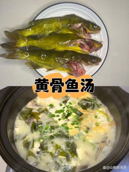 黄颡鱼汤怎么炖好喝_黄颡鱼汤的功效与禁忌-第2张图片-山城妙识