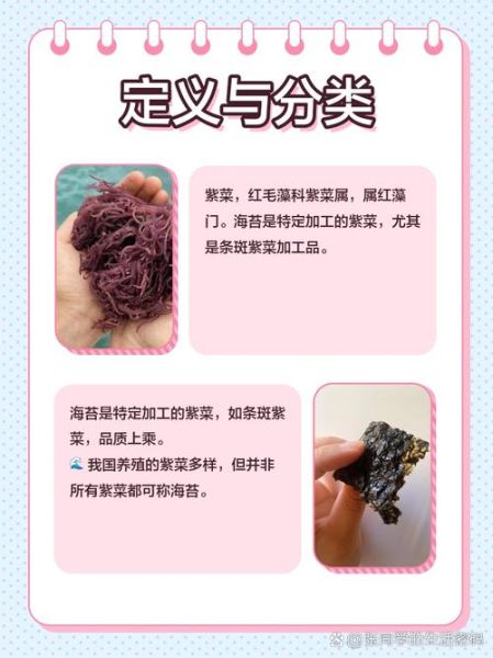 海苔和紫菜是一个东西吗_区别与营养对比-第1张图片-山城妙识 海苔和紫菜是一个东西吗_区别与营养对比-第1张图片-山城妙识