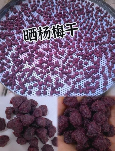糖腌杨梅怎么做_糖腌杨梅能放多久-第1张图片-山城妙识