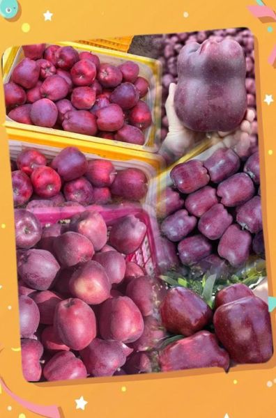 花牛苹果一斤多少钱_花牛苹果价格走势-第1张图片-山城妙识