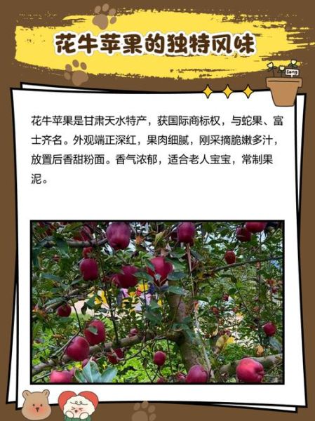 花牛苹果一斤多少钱_花牛苹果价格走势-第2张图片-山城妙识