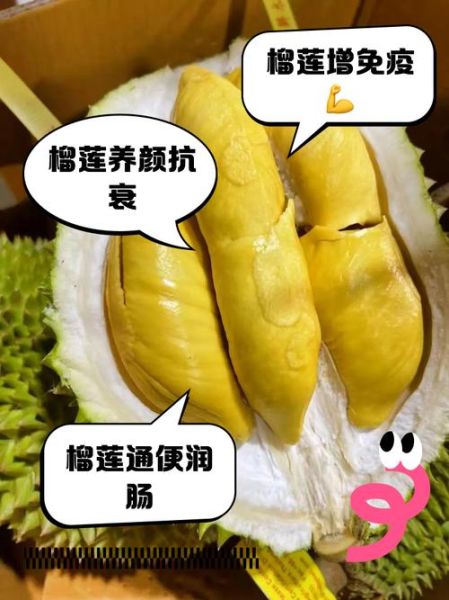 吃榴莲有什么好处和坏处_吃榴莲会上火吗-第3张图片-山城妙识