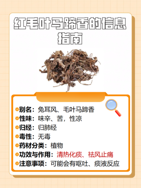 马蹄叶的功效与作用_马蹄叶怎么吃效果最好-第3张图片-山城妙识 马蹄叶的功效与作用_马蹄叶怎么吃效果最好-第3张图片-山城妙识