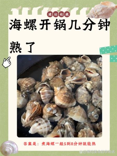 煮小海螺要焯水吗_小海螺煮多久才熟-第1张图片-山城妙识