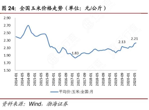 2021年9月玉米价格多少钱一斤_玉米价格走势分析-第2张图片-山城妙识 2021年9月玉米价格多少钱一斤_玉米价格走势分析-第2张图片-山城妙识