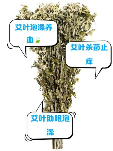 艾叶水怎样治妇科炎症_妇科炎症用艾叶水洗多久见效-第3张图片-山城妙识