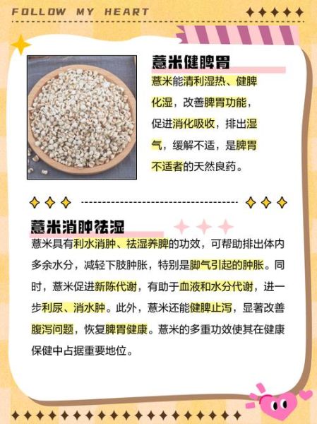 薏米可以天天吃吗_薏米祛湿多久见效-第2张图片-山城妙识 薏米可以天天吃吗_薏米祛湿多久见效-第2张图片-山城妙识