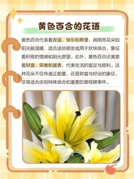 百合花代表什么意思_百合花寓意有哪些-第1张图片-山城妙识