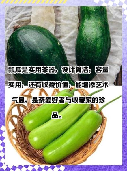 瓢瓜怎么种_瓢瓜和葫芦的区别-第2张图片-山城妙识