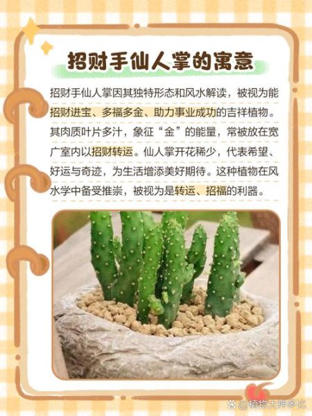 家里千万不要养仙人掌_仙人掌风水禁忌-第1张图片-山城妙识