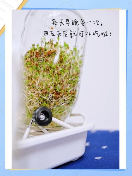 芽苗菜卖不出去怎么办_芽苗菜滞销原因-第1张图片-山城妙识