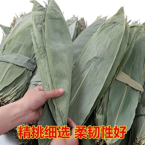 粽叶属于什么垃圾_粽叶是干垃圾还是湿垃圾-第2张图片-山城妙识
