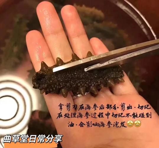 海参小米粥怎么煮最营养_海参小米粥的功效与禁忌-第2张图片-山城妙识