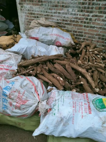 土瓜根别名是什么_土瓜根别名有哪些功效-第3张图片-山城妙识