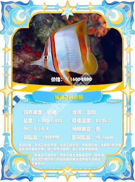 蝶鱼多少钱一斤_蝶鱼价格行情-第1张图片-山城妙识