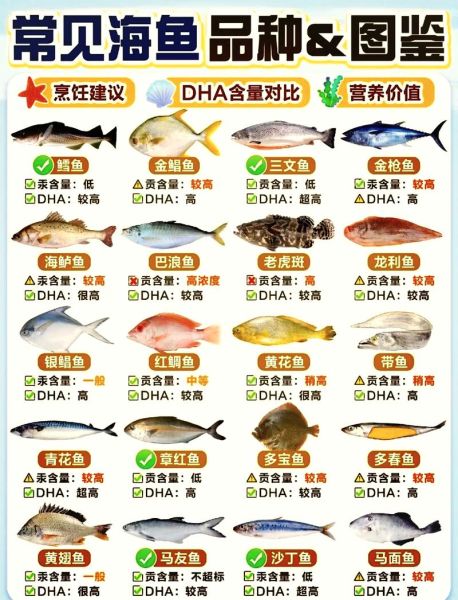 海鱼的种类图片大全_常见海鱼名称及特征-第2张图片-山城妙识