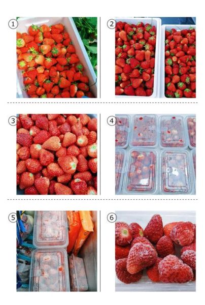 自制草莓酱能放冷冻吗_冷冻保存多久-第1张图片-山城妙识 自制草莓酱能放冷冻吗_冷冻保存多久-第1张图片-山城妙识