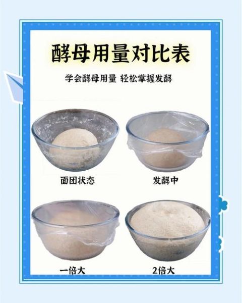酵母粉怎么用_酵母粉失效了还能用吗-第1张图片-山城妙识