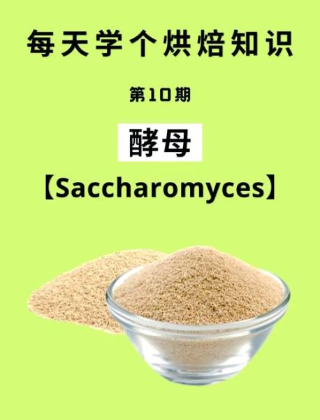 酵母粉怎么用_酵母粉失效了还能用吗-第3张图片-山城妙识