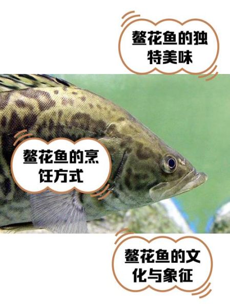 红烧鳌花鱼怎么做_鳌花鱼去腥技巧-第1张图片-山城妙识 红烧鳌花鱼怎么做_鳌花鱼去腥技巧-第1张图片-山城妙识