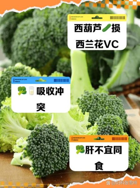 西兰花不能和什么一起吃_西兰花相克食物有哪些-第1张图片-山城妙识 西兰花不能和什么一起吃_西兰花相克食物有哪些-第1张图片-山城妙识