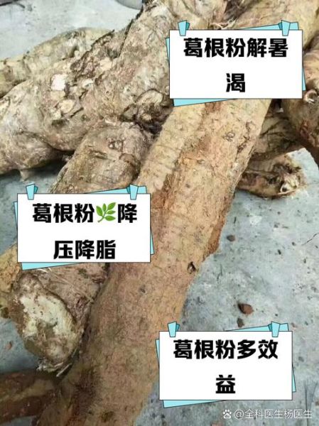 吃葛根粉的好处和坏处_葛根粉能长期吃吗-第3张图片-山城妙识 吃葛根粉的好处和坏处_葛根粉能长期吃吗-第3张图片-山城妙识