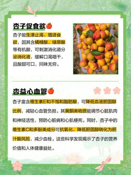 杏子的营养价值_杏子有哪些功效与作用-第1张图片-山城妙识