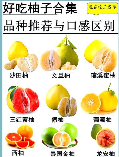 柚子是酸性还是碱性_吃柚子会改变体质吗-第3张图片-山城妙识