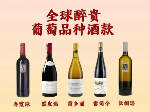 全球100款葡萄酒排名_最值得收藏的红酒有哪些-第1张图片-山城妙识