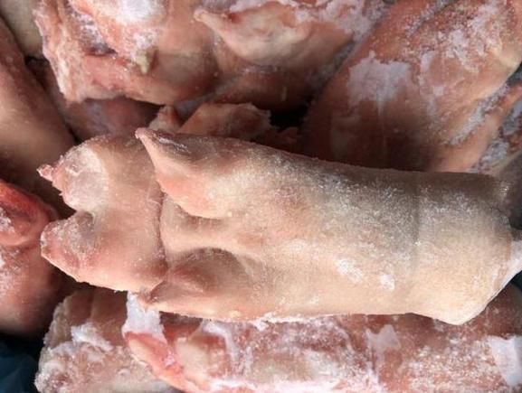 猪冻嘴是什么_猪冻嘴怎么治-第2张图片-山城妙识