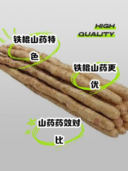 淮山药和铁棍山药的区别_哪个更好-第3张图片-山城妙识