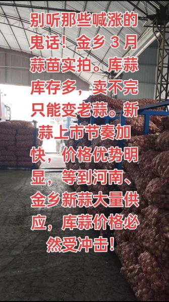 金乡大蒜价格最新行情2021_金乡大蒜为什么涨价-第3张图片-山城妙识