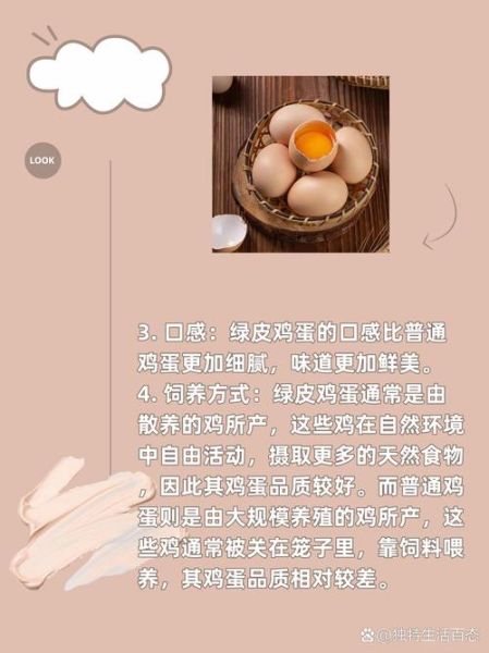 绿壳鸡蛋是什么鸡生的_绿壳鸡蛋和普通鸡蛋区别-第1张图片-山城妙识