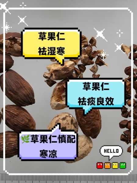 草果仁的功效与作用_草果仁怎么吃效果最好-第1张图片-山城妙识