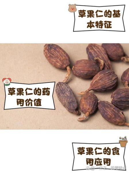 草果仁的功效与作用_草果仁怎么吃效果最好-第3张图片-山城妙识
