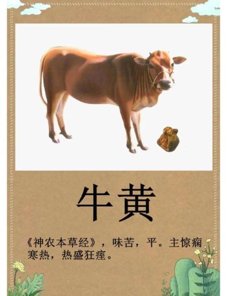 牛膀胱叫什么_牛膀胱在中药里叫什么-第2张图片-山城妙识
