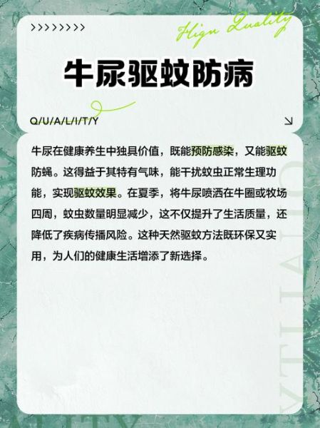 牛膀胱叫什么_牛膀胱在中药里叫什么-第3张图片-山城妙识