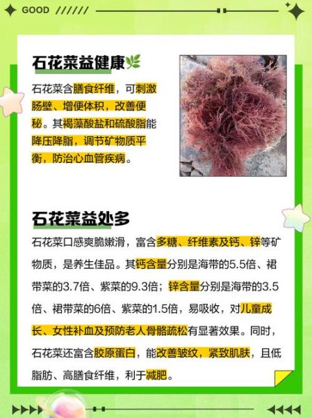 海石花菜的功效与作用_海石花菜怎么吃-第3张图片-山城妙识 海石花菜的功效与作用_海石花菜怎么吃-第3张图片-山城妙识