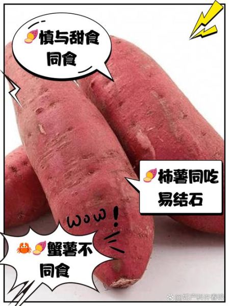 红薯吃多了有什么坏处_红薯不能和什么一起吃-第1张图片-山城妙识