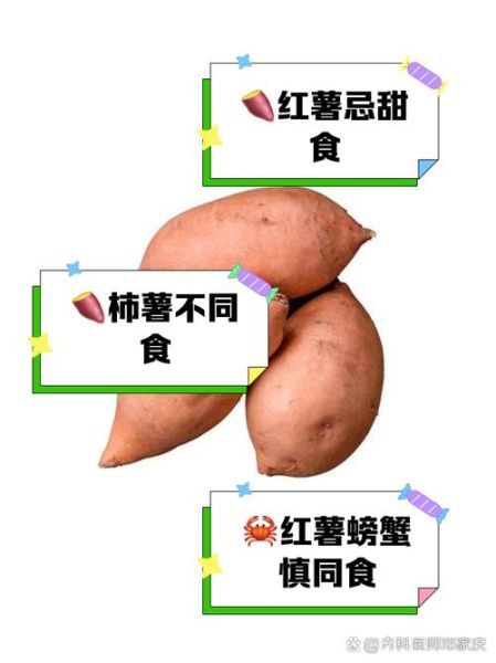 红薯吃多了有什么坏处_红薯不能和什么一起吃-第2张图片-山城妙识