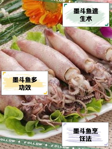 墨斗鱼知识店铺怎么赚钱_墨斗鱼知识店铺入驻条件-第1张图片-山城妙识