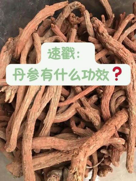 丹参的副作用有哪些_丹参的禁忌人群有哪些-第3张图片-山城妙识