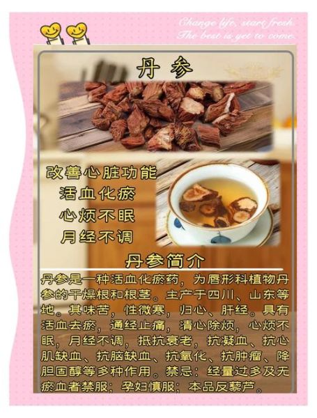 丹参的副作用有哪些_丹参的禁忌人群有哪些-第2张图片-山城妙识