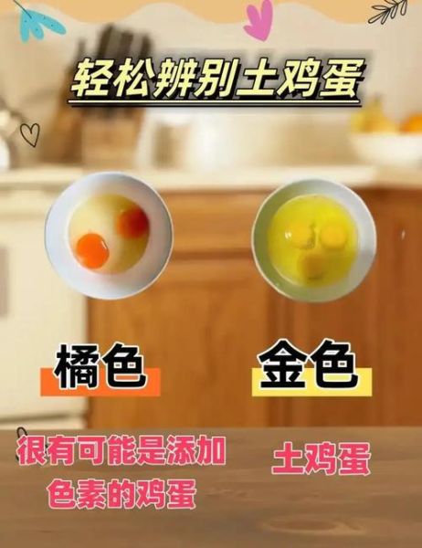 假鸡蛋真的存在吗_如何辨别假鸡蛋-第1张图片-山城妙识